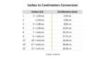 Shirt Size Chart Guide: Inches to CM Conversion - vastgent.com
